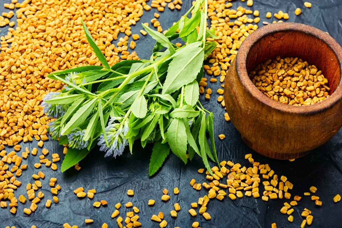 Fenugreek – jaké využití a účinky nabízí pískavice řecké seno? | Dr ...